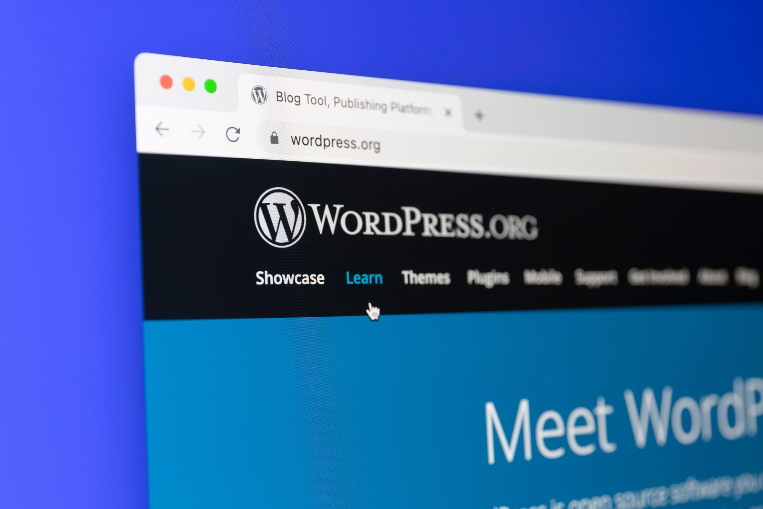 Our Article About The Best Programming Languages For WordPress